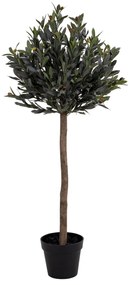 HOUSE NORDIC Dekorativní rostlina Olive Tree 120 cm