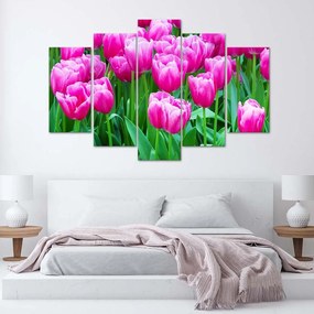 Gario Obraz na plátně Růžové tulipány - 5 dílný Rozměry: 100 x 70 cm