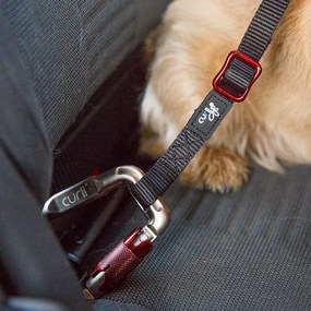 curli Cestovní pás pro psy do auta 30cm Velikost: 60cm