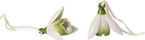 Villeroy & Boch Mini Flower Bells sada 2 ks porcelánových zvonečků, sněženky 14-5487-5423