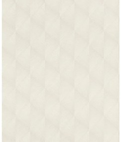 Vliesová 3D tapeta 687910 geometrická šedá, stříbrná / Tapety na zeď Tropical House (0,53 x 10,05 m) Rasch
