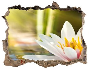 Wallmuralia Samolepící díra nálepka Vodní lilie 95x64 cm