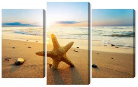 Vícedílný obraz Hvězdice Na Pláži 3D Nedostatek Nedostatek Plátno Canvas 150x100