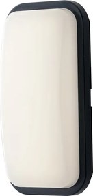 FAN LED-SHELLY-Q-MW ANT Venkovní stropní svítidlo LED SHELLY antracit polykarbonát 20 W 2500 lm 4000 K IP65 se senzorem 29,6x14,6x7,6 cm - FANEUROPE