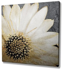 Obraz na plátně Whispering flower KC165 45x45 cm