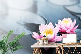 Tapeta kouzelný lotosový květ - 375x250 cm