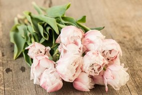 Tapeta romantická kytice tulipánů - 300x200 cm