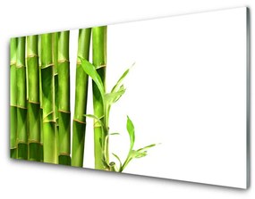 Obraz na skle Bambus Rostlina 100x50 cm