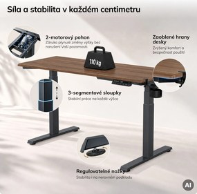 Elektrický stůl s regulací výšky ergonomický antracitový/ořech,1600x800 mm: ARIA