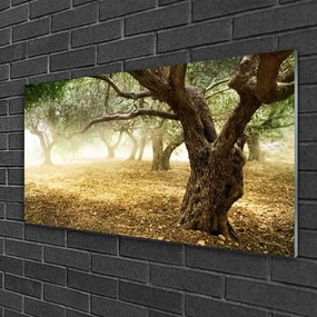 Obraz na skle Strom Tráva Příroda 140x70 cm
