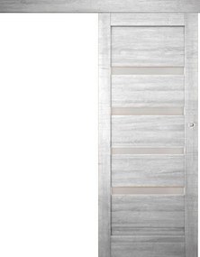 posuvné interiérové dveře na stěnu vasco doors EVORA model 4 Průchozí rozměr: 70 x 197 cm, Orientace dveří: Levé dveře, Dekor: Dub stříbrný