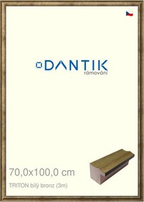 DANTIK rámeček 70x100 | TRITON bílý bronz (Plexi Čiré)
