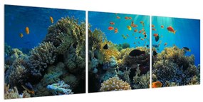 Obraz podmořského světa (120x40 cm)