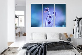 Vícedílný obraz Jemné Květiny V Makro Měřítku Nedostatek Nedostatek Plátno Canvas 60x40