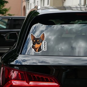 PIPPER. Nálepka Trpasličí pinč Velikost: 60cm