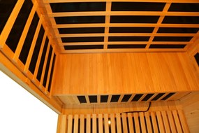 Infrasauna DeLuxe 2200 Carbon - BT