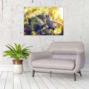 Skleněný obraz sovy na stromě (70x50 cm)