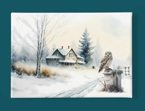 Obraz na plátně - Sova na poštovní schránce, venkov v zimě FeelHappy.cz Velikost obrazu: 60 x 40 cm