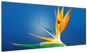 Obraz - detail květu (100x40cm)