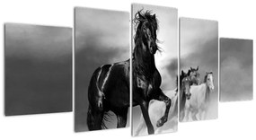 Černobílý obraz koňů