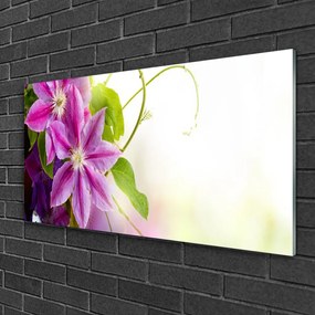 Obraz na skle Květiny Příroda 120x60 cm