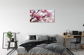 Obraz na skle magnolie strom 100x50 cm