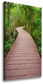 Wallmuralia Vertikální Foto obraz na plátně Stezka v džungli 50x100