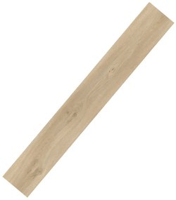 IVC Vinyl MODULEO ROOTS 55 EIR Galtymore Oak 86237