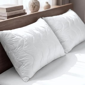 SCANquilt polštář CLASSIC 50 x 70 cm