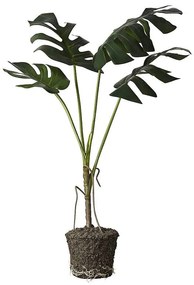 Monstera s balem FLORA, 86 cm