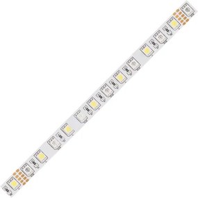 LED pásek McLED 24V RGBW CW studená bílá 12mm IP20 17,3W/m ML-128.632.60.0 (5m)