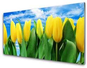 akrylový obraz Tulipány Květiny 125x50 cm