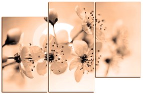 Obraz na plátně - Malé květy na větvi 1173FD (120x80 cm)