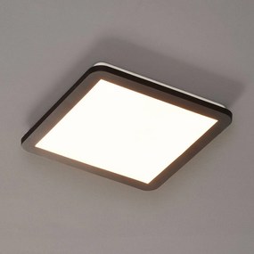 LED stropní svítidlo Camillus, čtverec, 30 cm