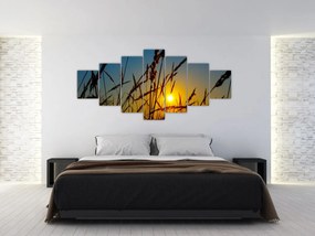 Obraz - Západ slunce v louce (210x100 cm)