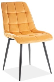 Casarredo - Komfort nábytek Jídelní židle CHIC VELVET žlutá curry/černý kov
