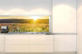 DIMEX | Fototapeta do kuchyně Sluneční paprsky nad loukou KI-180-201 | 180 x 60 cm | žlutá, zelená, fialová