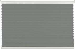 XXXLutz PLISÉ, poloprůhledné, 80/210 cm Homeware - Rolety a žaluzie - 006935012311