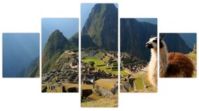 Obraz - Lama a Machu Picchu (125x70 cm)