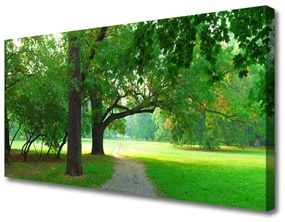 Obraz na plátně Stezka Stromy Příroda 140x70 cm