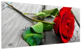 Obraz červené růže (100x40 cm)