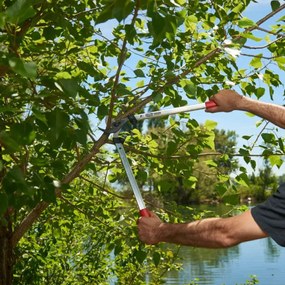 Obouruční nůžky na větve FELCO 211-60