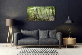 Plexisklo-obraz Les Příroda Džungle 100x50 cm