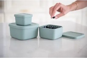 KikkaBoo Sada boxů na svačinu 3 ks Platinum Silicone Sage