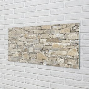 Obraz na skle Kamenná zeď wall 140x70 cm