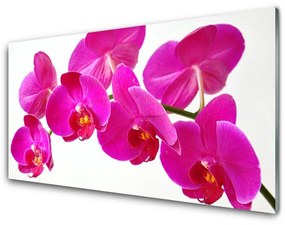 akrylový obraz Květiny Rostlina 125x50 cm
