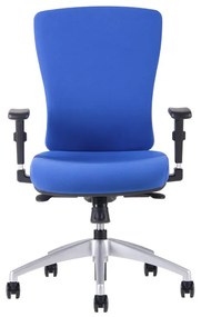 Kancelářská ergonomická židle Office Pro HALIA BP – bez podhlavníku, více barev Modrá 2621