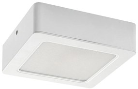 Rabalux | Rabalux 3174 - LED Stropní svítidlo SHAUN LED/12W/230V 14,5 cm | RL3174