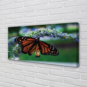 Obrazy na plátně Motýl na květině 100x50 cm