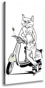 Wallmuralia Vertikální Foto obraz na plátně Kočičí muž 50x100